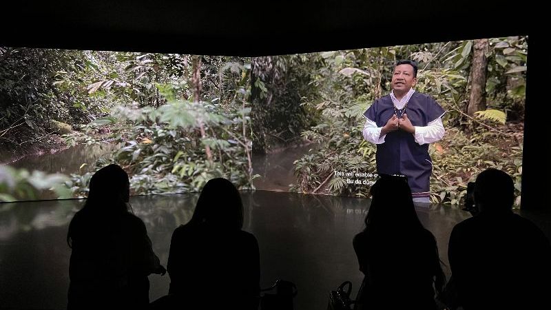 Forest Mind, exposición sobre la interconexión de la vida | LAUD
